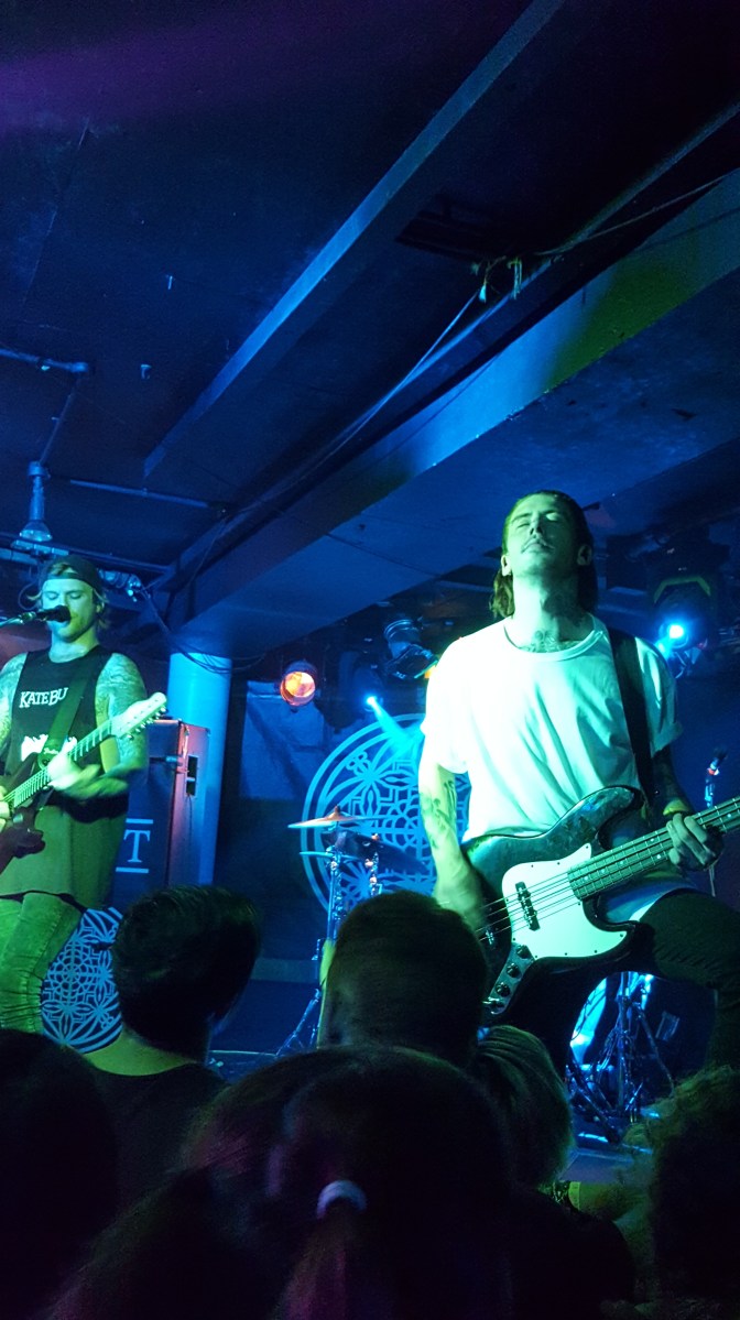 Looking Back: GigRadar Reaches 1,000 Articles – GigRadar